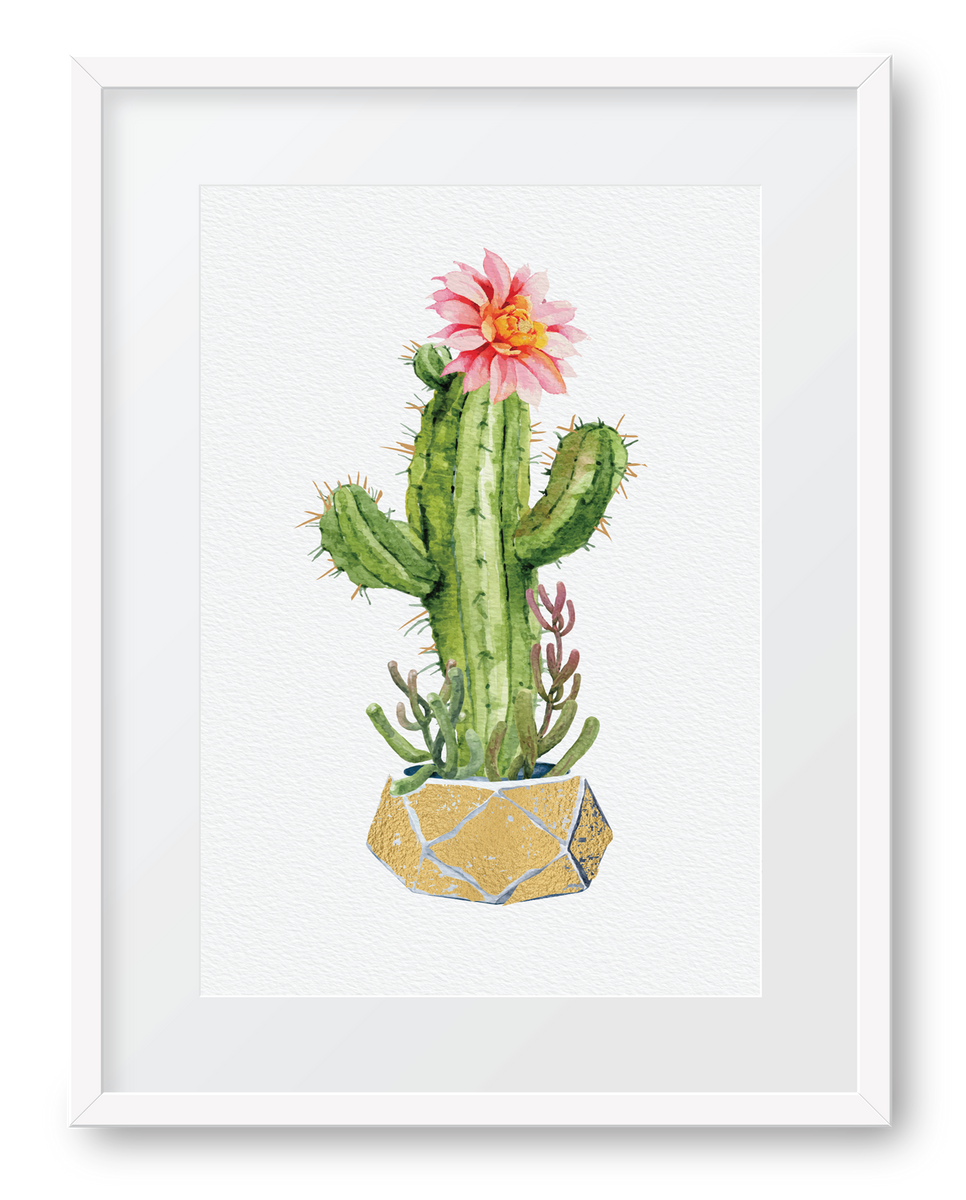 Cactus – Poster Art Gallery